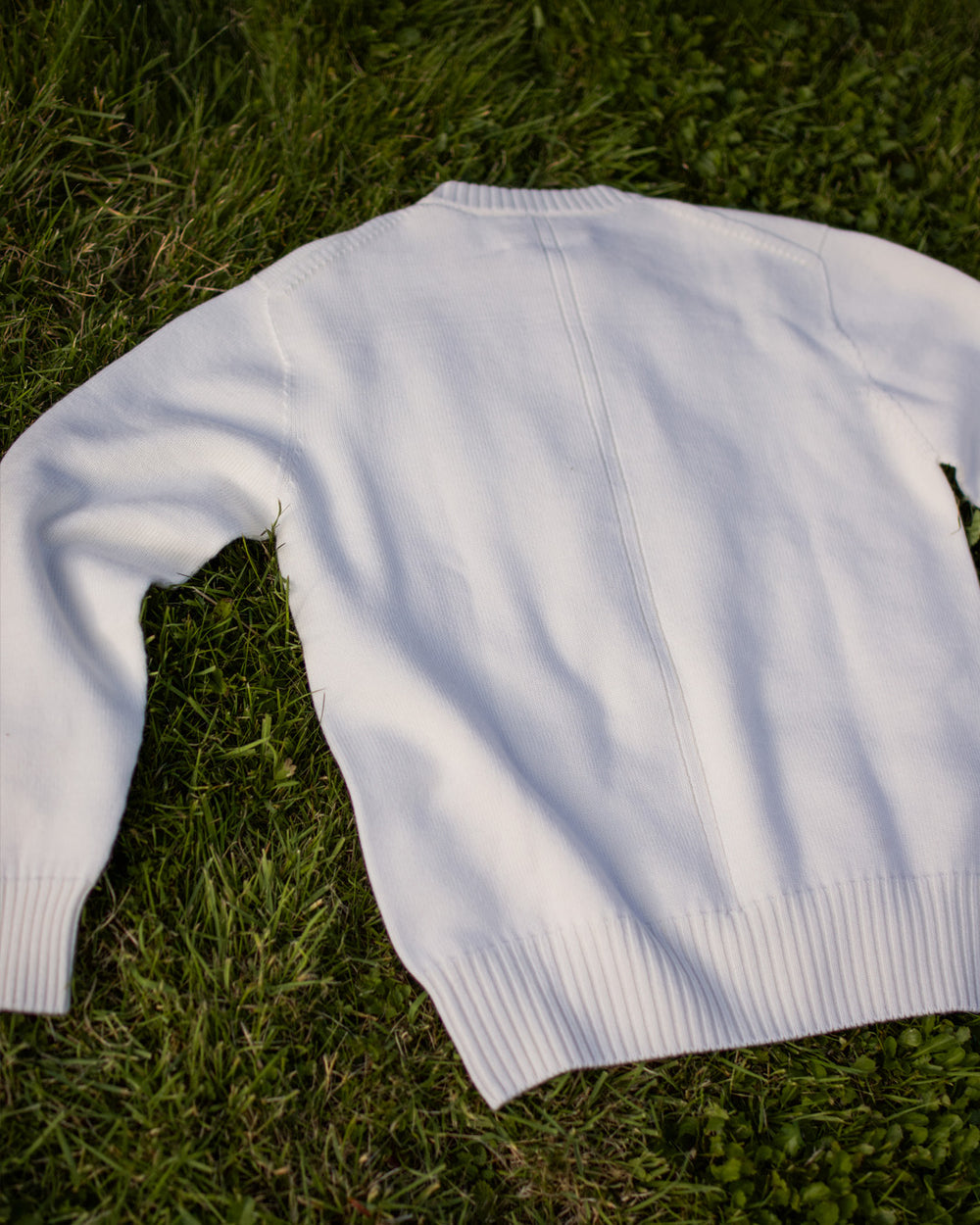 Introducing Wool – Original Fibres